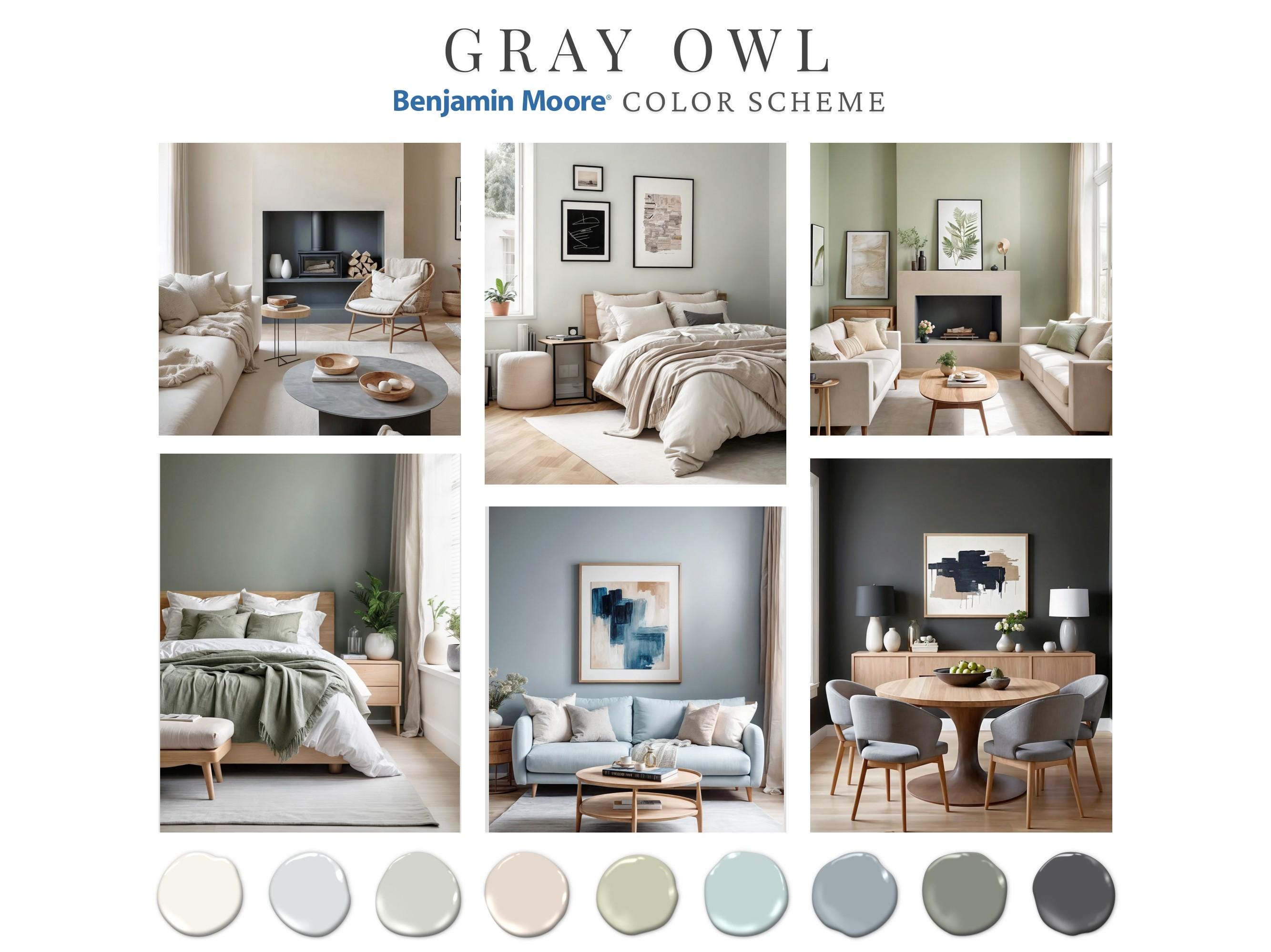 Color Harmony Palettes